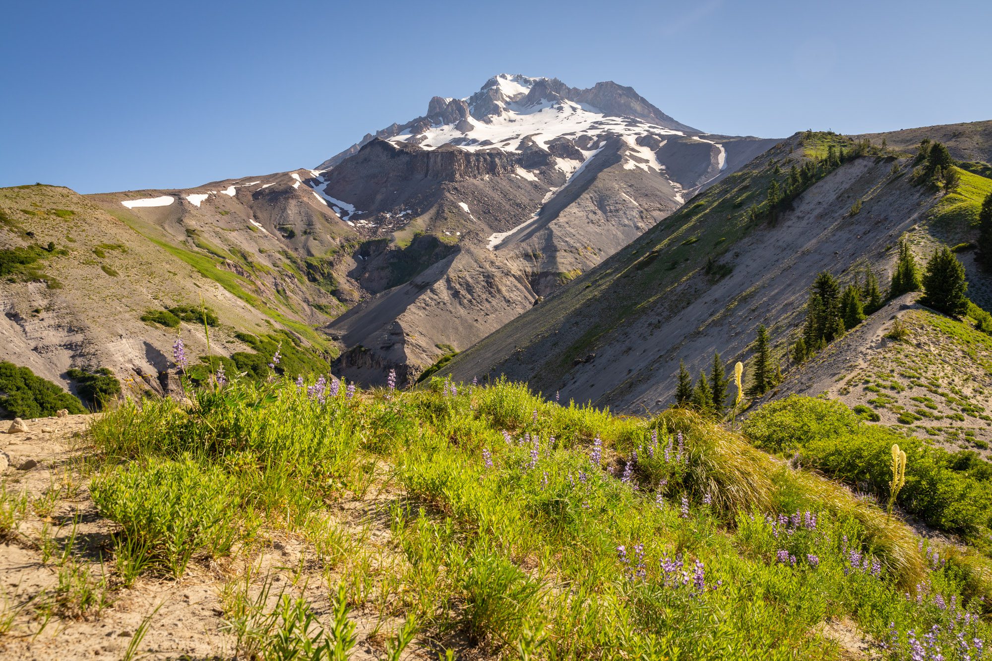 How to Hike the Amazing Hamilton Mountain Trail in the Gorge