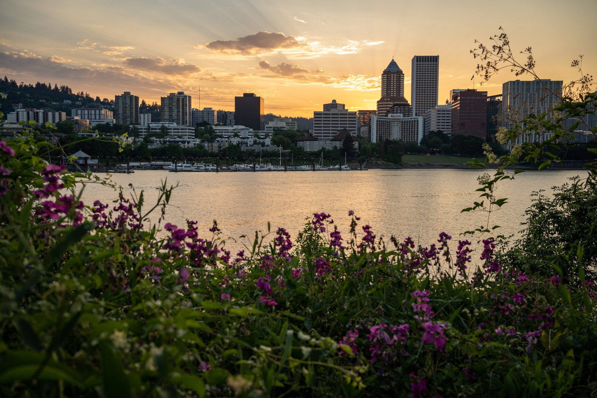 Portland and Around - Oregon Obsessed