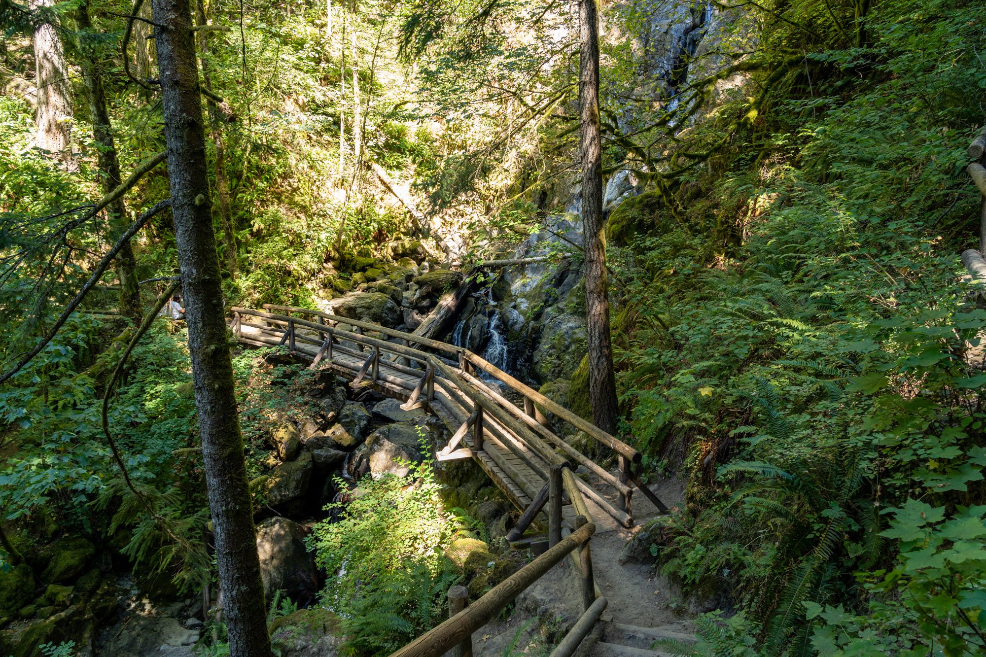 How to Hike the Amazing Hamilton Mountain Trail in the Gorge