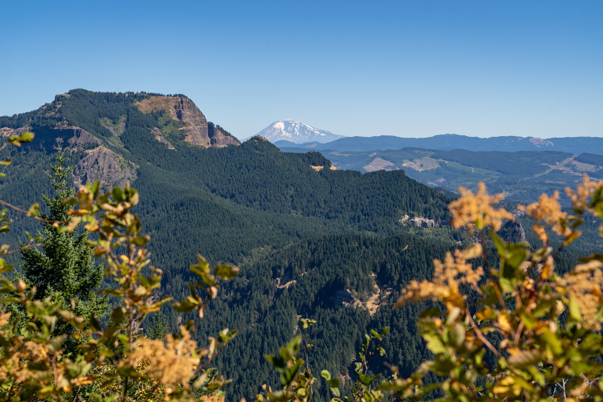 How to Hike the Amazing Hamilton Mountain Trail in the Gorge